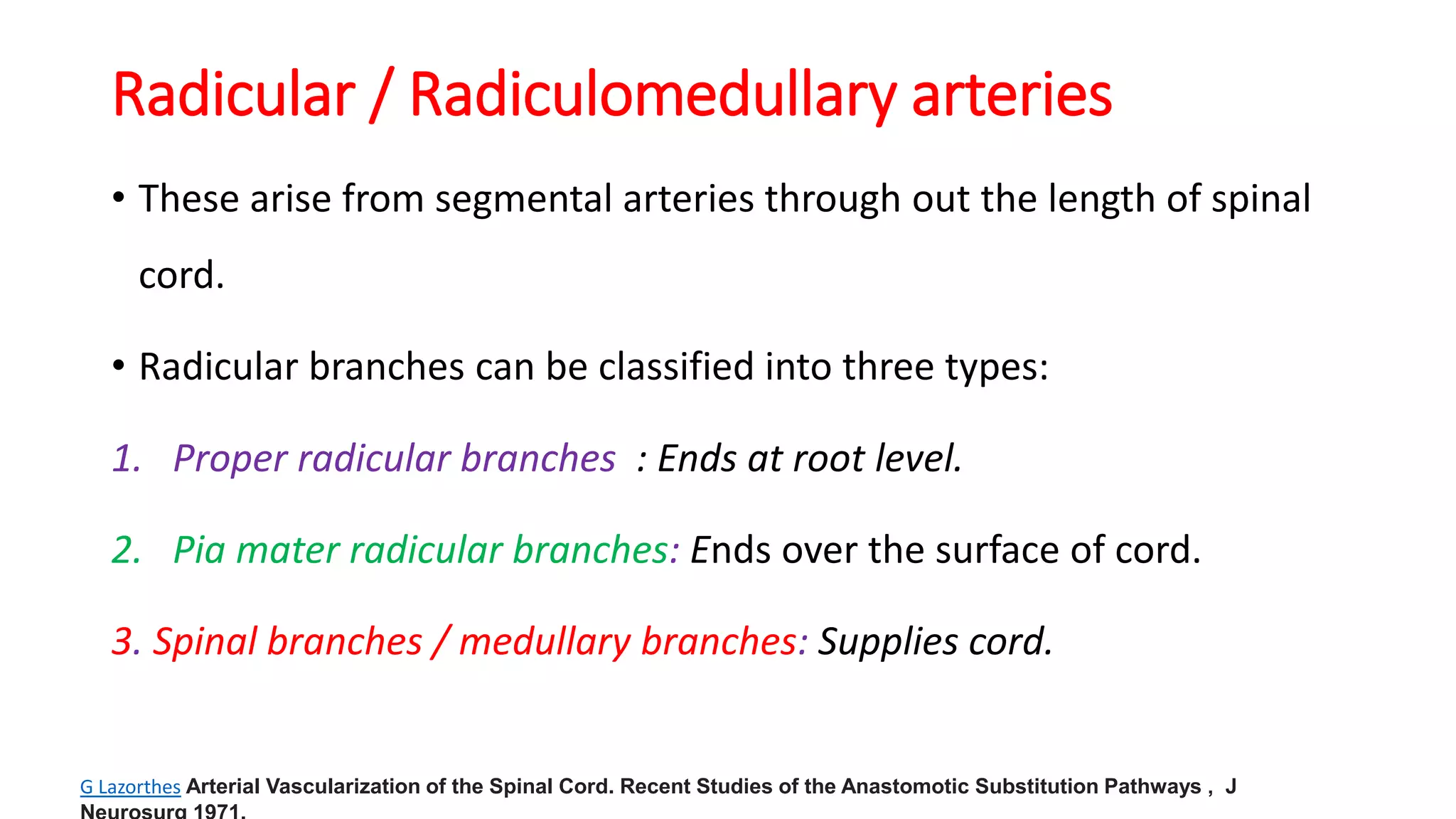 Blood supply of spinal cord | PPTX