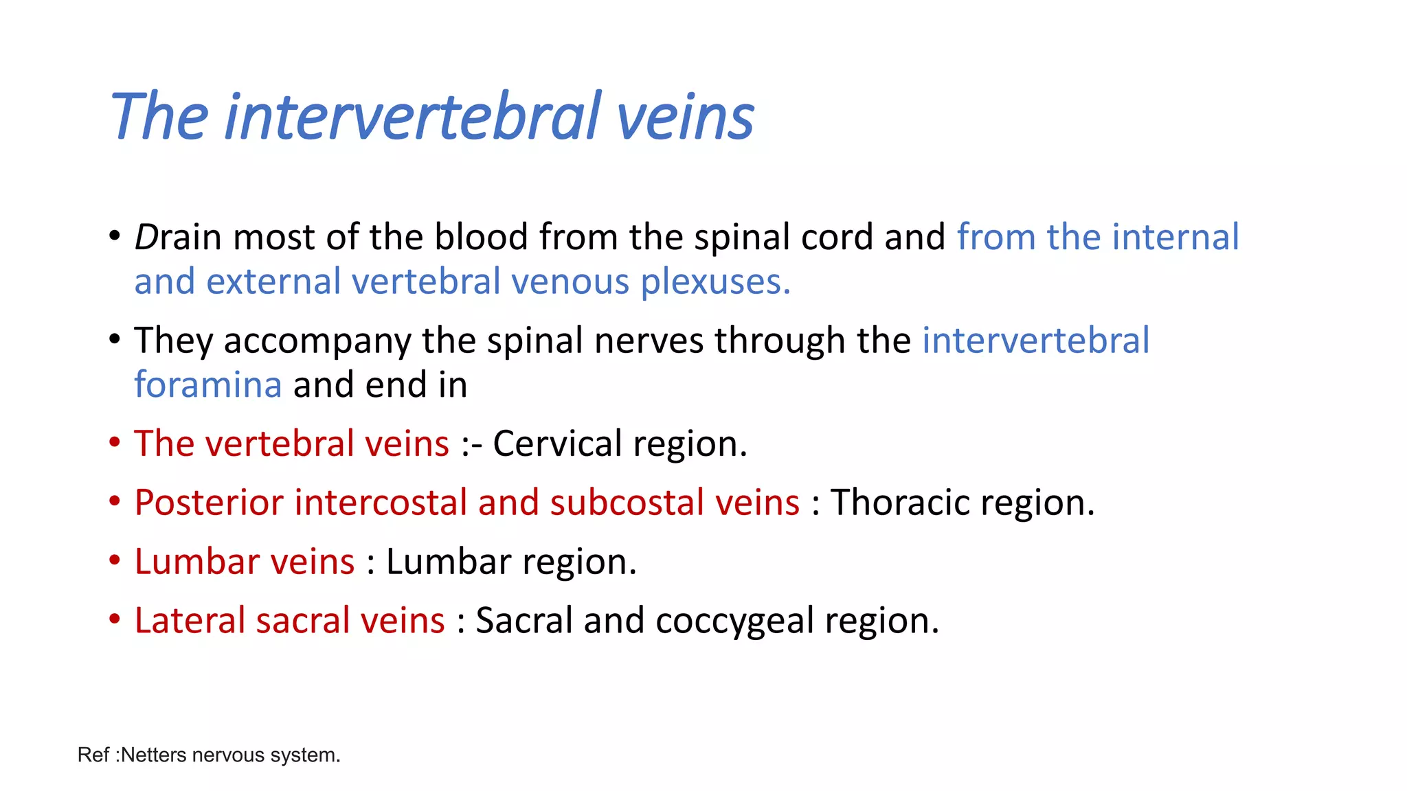 Blood supply of spinal cord | PPTX