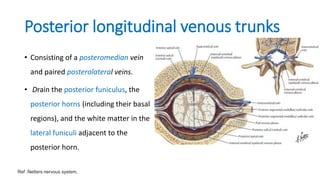 Blood supply of spinal cord | PPTX