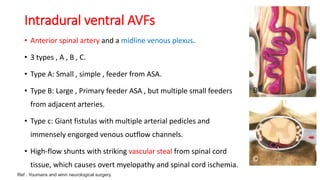 Blood supply of spinal cord | PPTX