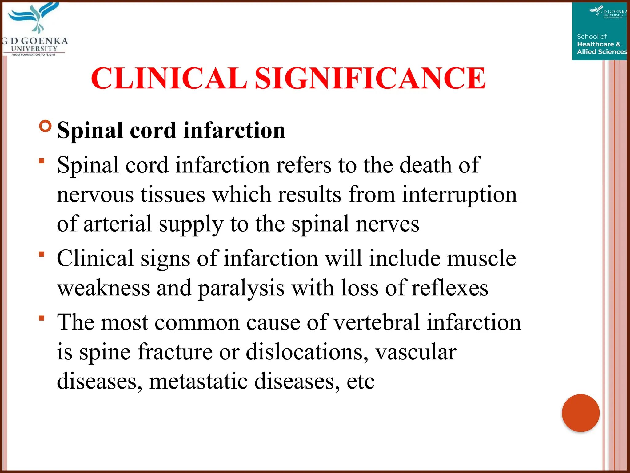 Blood supply of spinal cord how the blood travel | PPTX