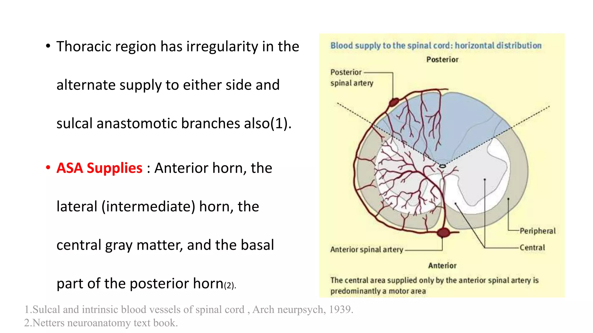 Blood supply of spinal cord | PPTX