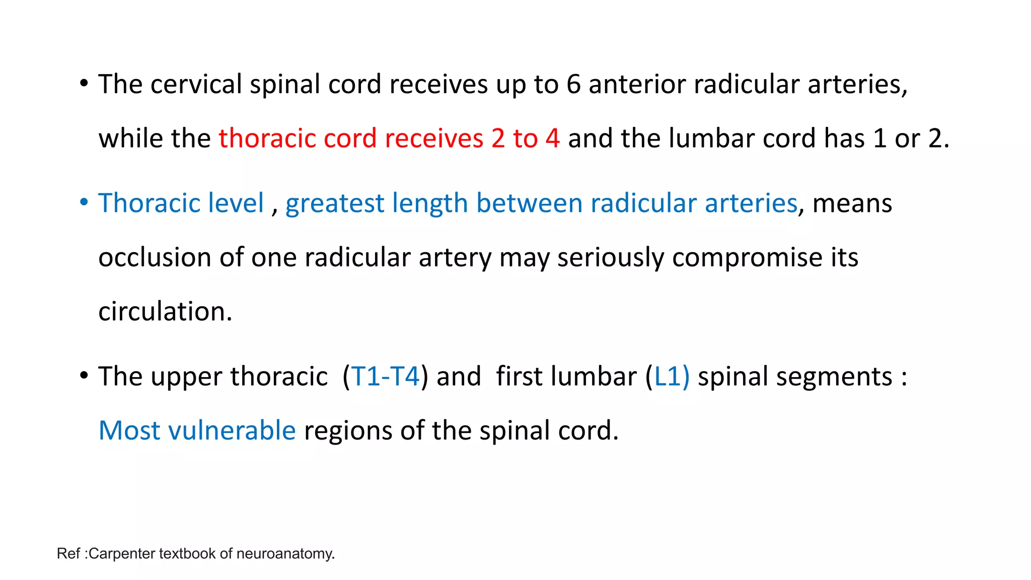 Blood supply of spinal cord | PPTX