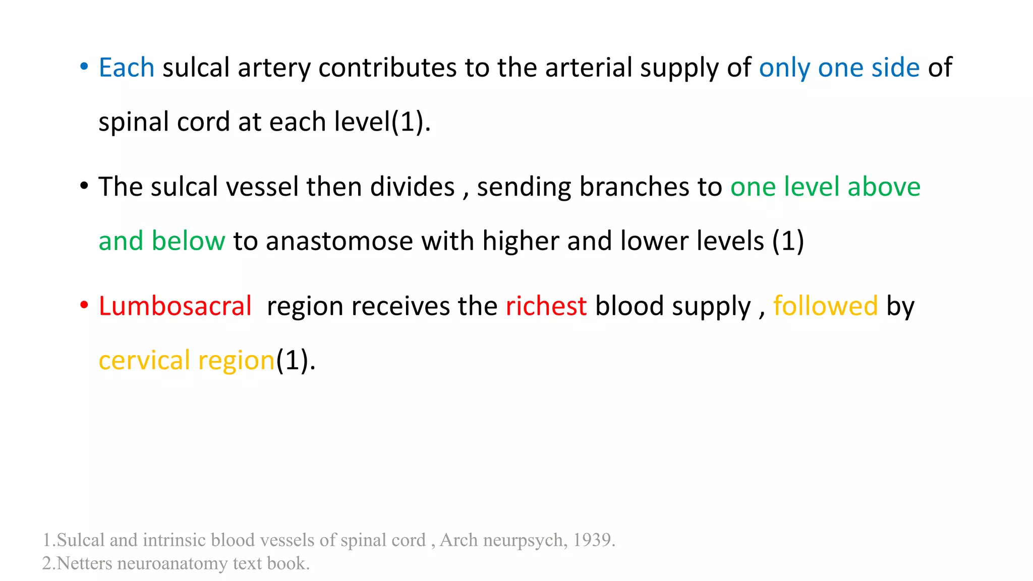 Blood supply of spinal cord | PPTX