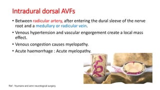 Blood supply of spinal cord | PPTX
