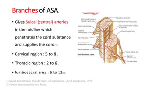 Blood supply of spinal cord | PPTX