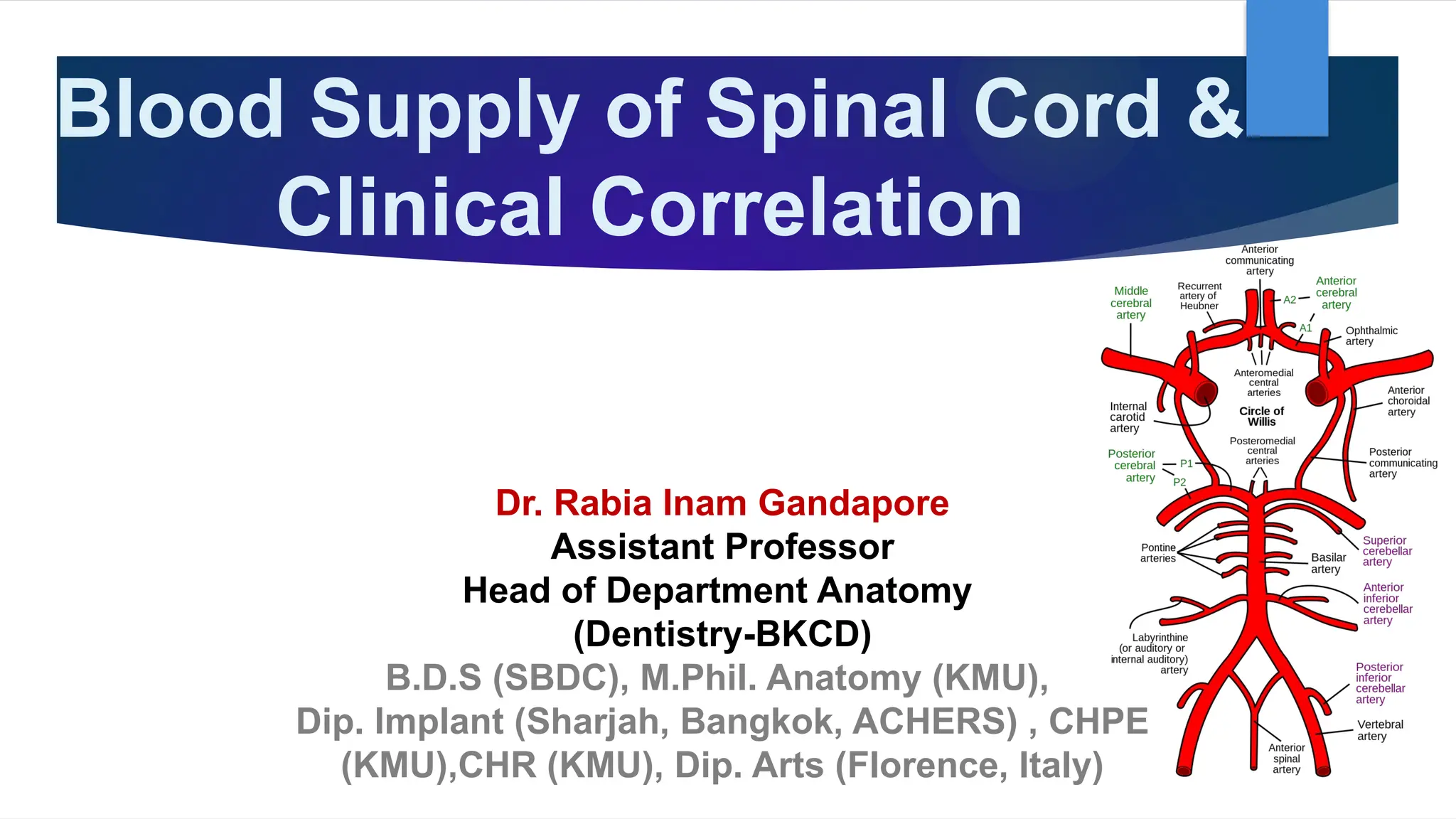 Blood Supply of Spinal Cord by Dr. Rabia Inam Gandapore.pptx