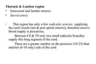 BLOOD SUPPLY OF SPINAL CORD | PPT