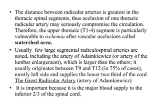 BLOOD SUPPLY OF SPINAL CORD | PPT