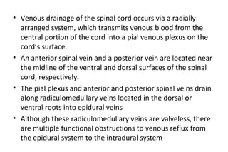 BLOOD SUPPLY OF SPINAL CORD | PPT