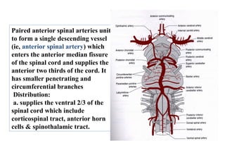 BLOOD SUPPLY OF SPINAL CORD | PPT
