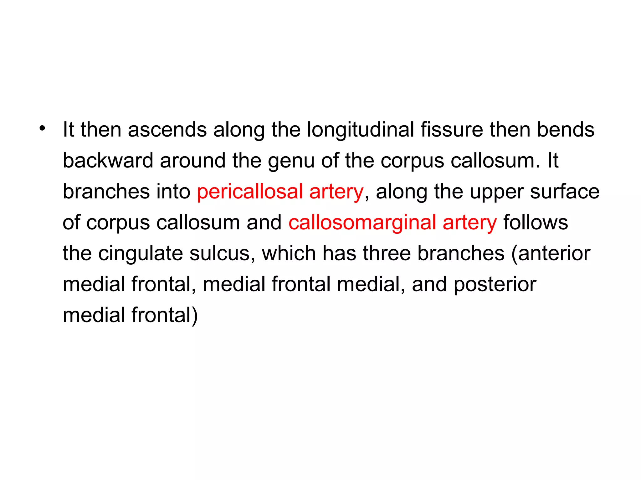 Blood supply of the brain | PPT