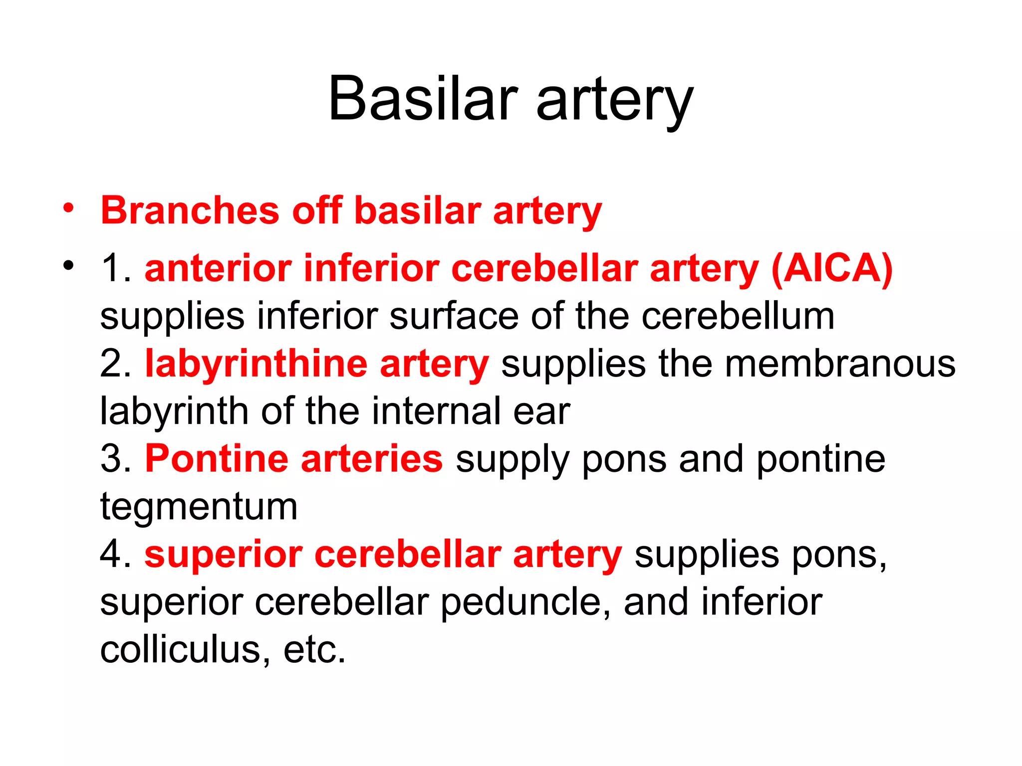 Blood supply of the brain | PPT