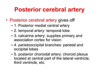 Blood supply of the brain | PPT