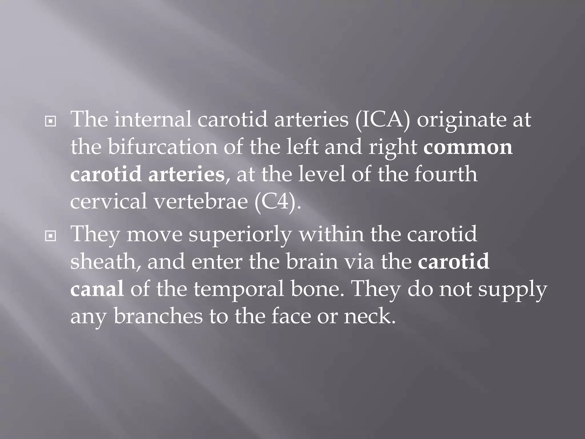 Blood supply of the brain, neuro anatomy . | PPTX
