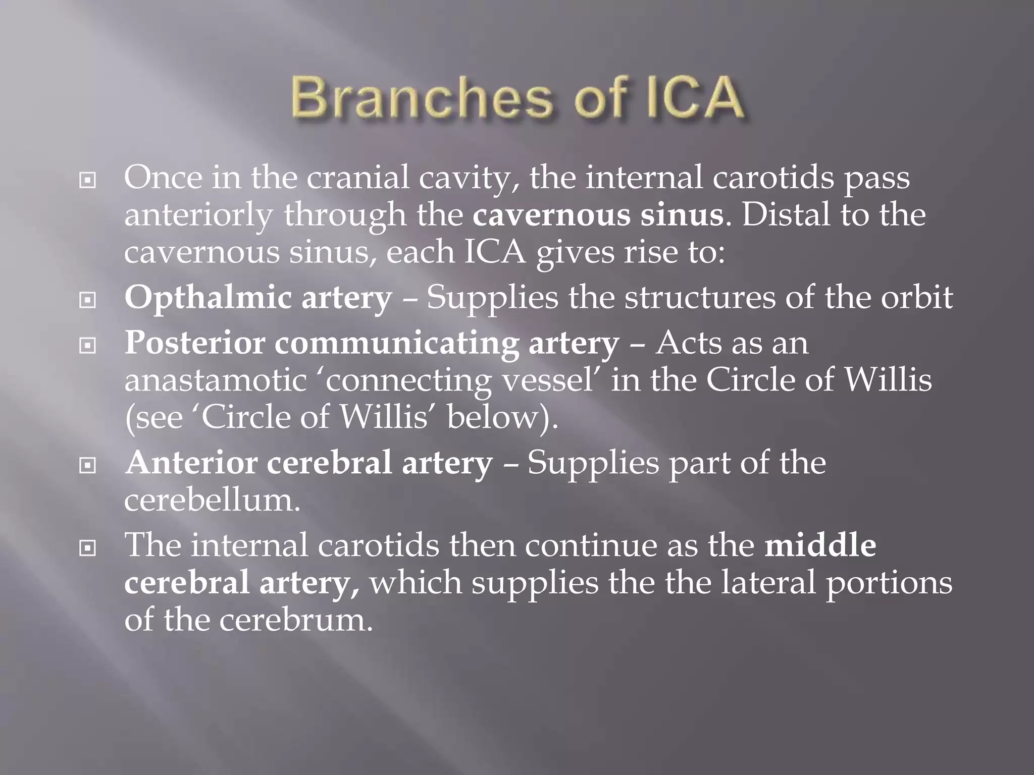 Blood supply of the brain, neuro anatomy . | PPTX