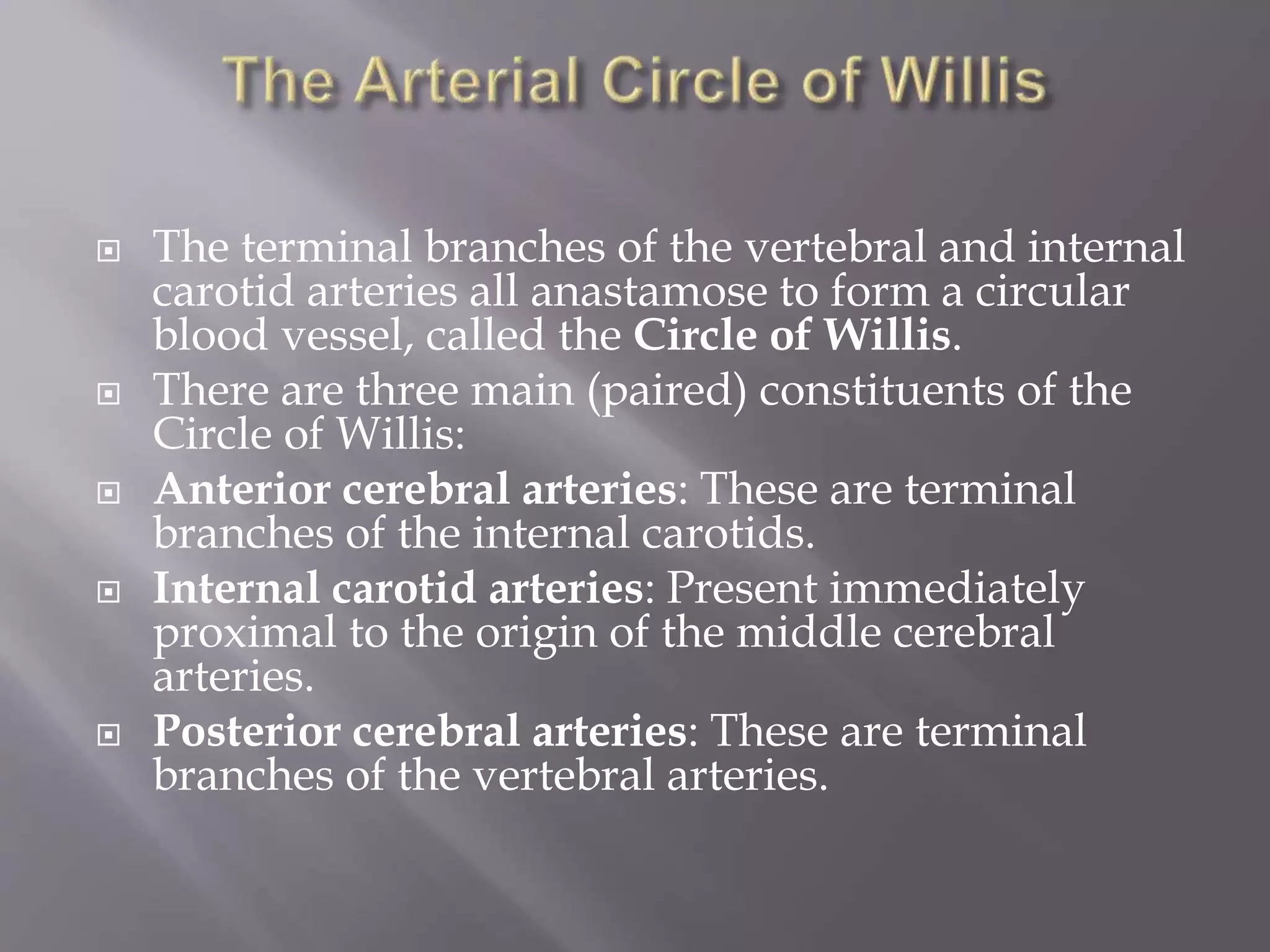 Blood supply of the brain, neuro anatomy . | PPTX