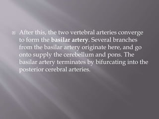 Blood supply of the brain, neuro anatomy . | PPTX