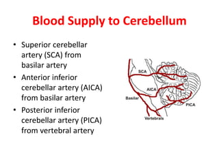 Blood supply of the brain | PPTX