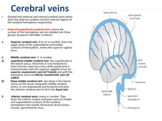 Blood supply of the brain | PPTX