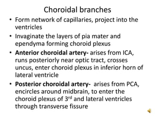 Blood supply of the brain | PPTX