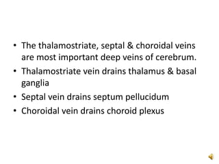 Blood supply of the brain | PPTX