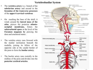 Blood supply of the brain.pptx