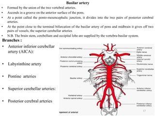 Blood supply of the brain.pptx