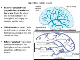 Blood supply of the brain.pptx