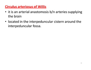 Blood supply of the brain (1).pptx