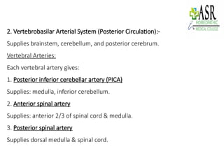 blood supply of the brain (by mouni sheral).pptx