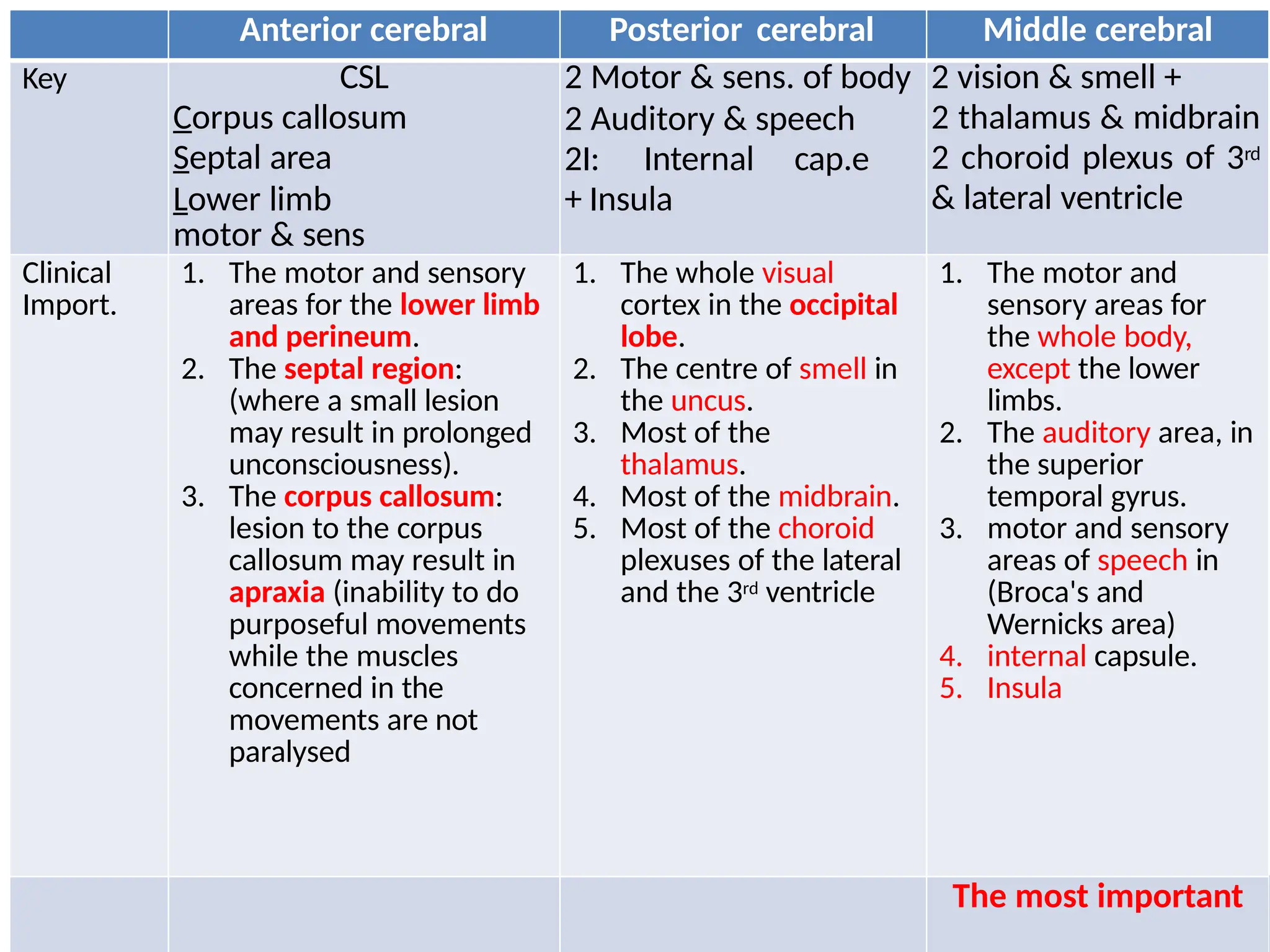 blood supply of the brain physiotherapy.pptx