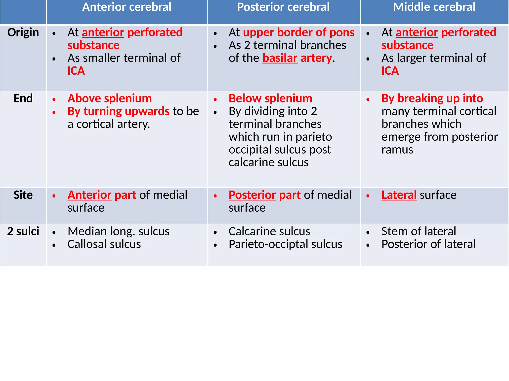 blood supply of the brain physiotherapy.pptx
