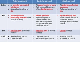 blood supply of the brain physiotherapy.pptx