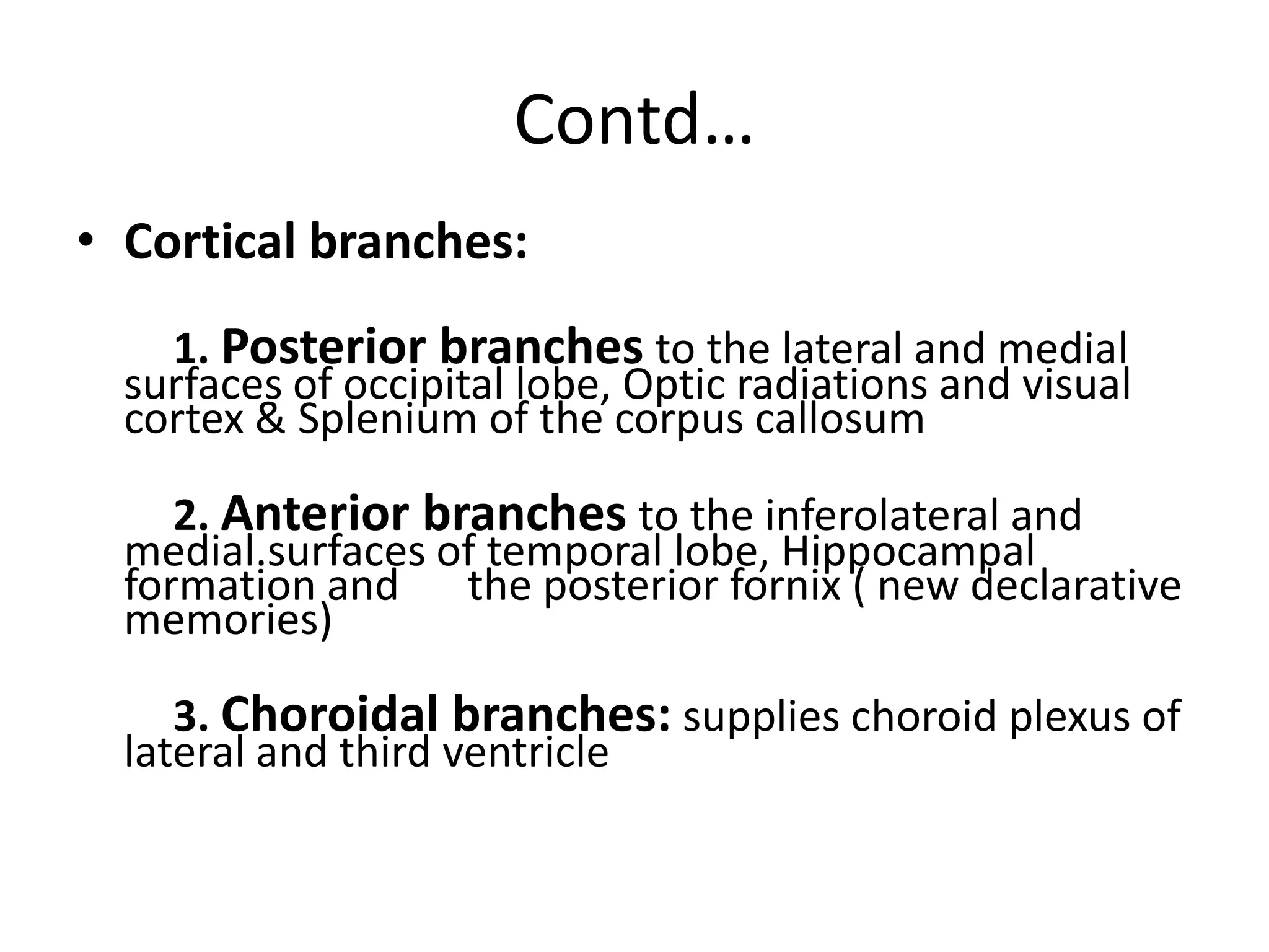 Blood supply of the brain & spinal cord by dr sarwar | PDF