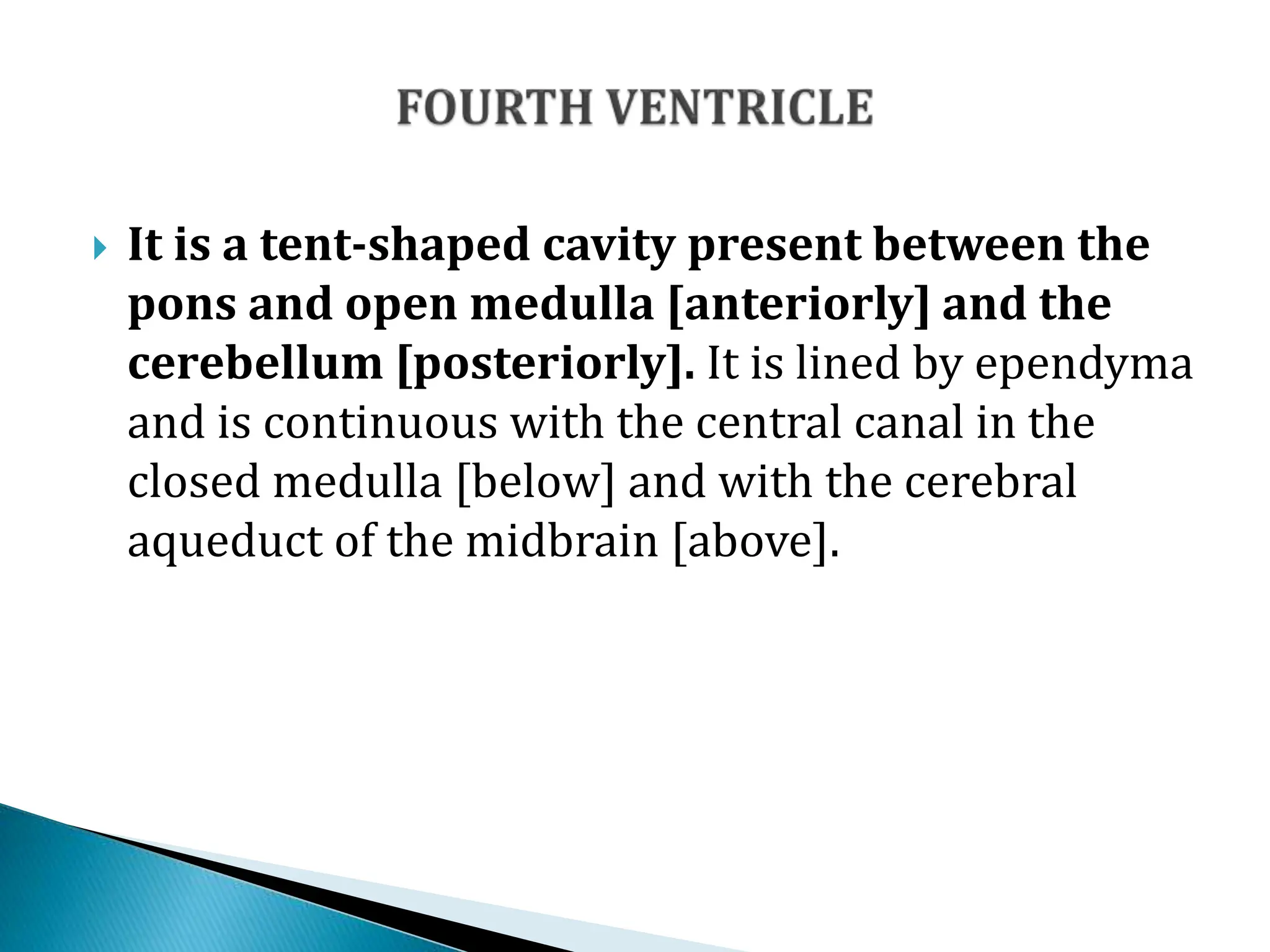 BLOOD SUPPLY OF THE BRAIN, VENTRICLES , and CSF.pptx