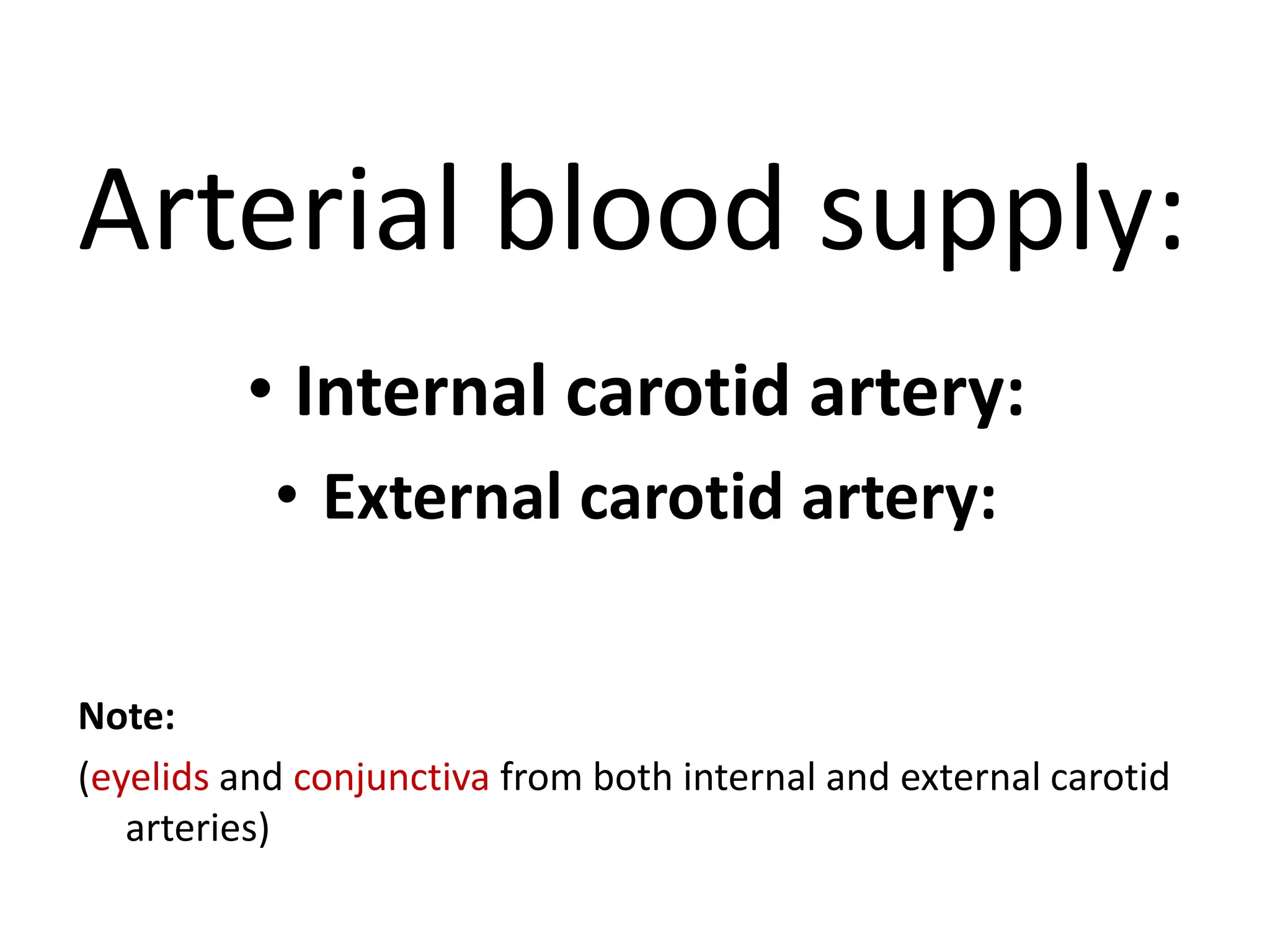 Blood supply of the eye | PPTX