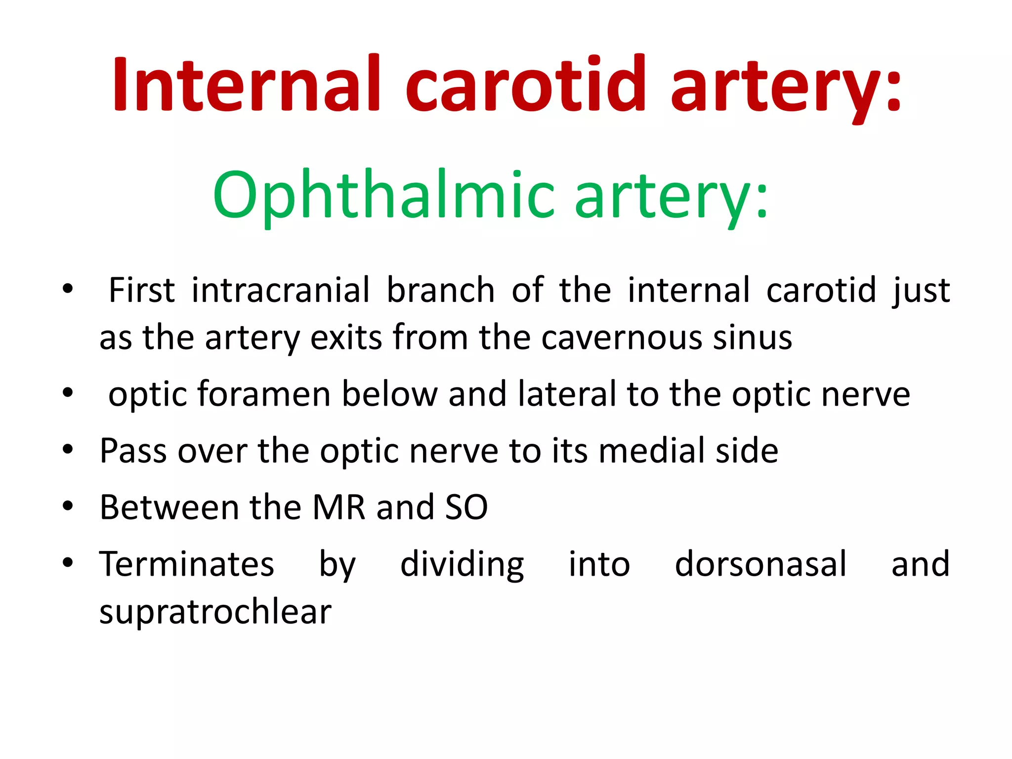 Blood supply of the eye | PPTX