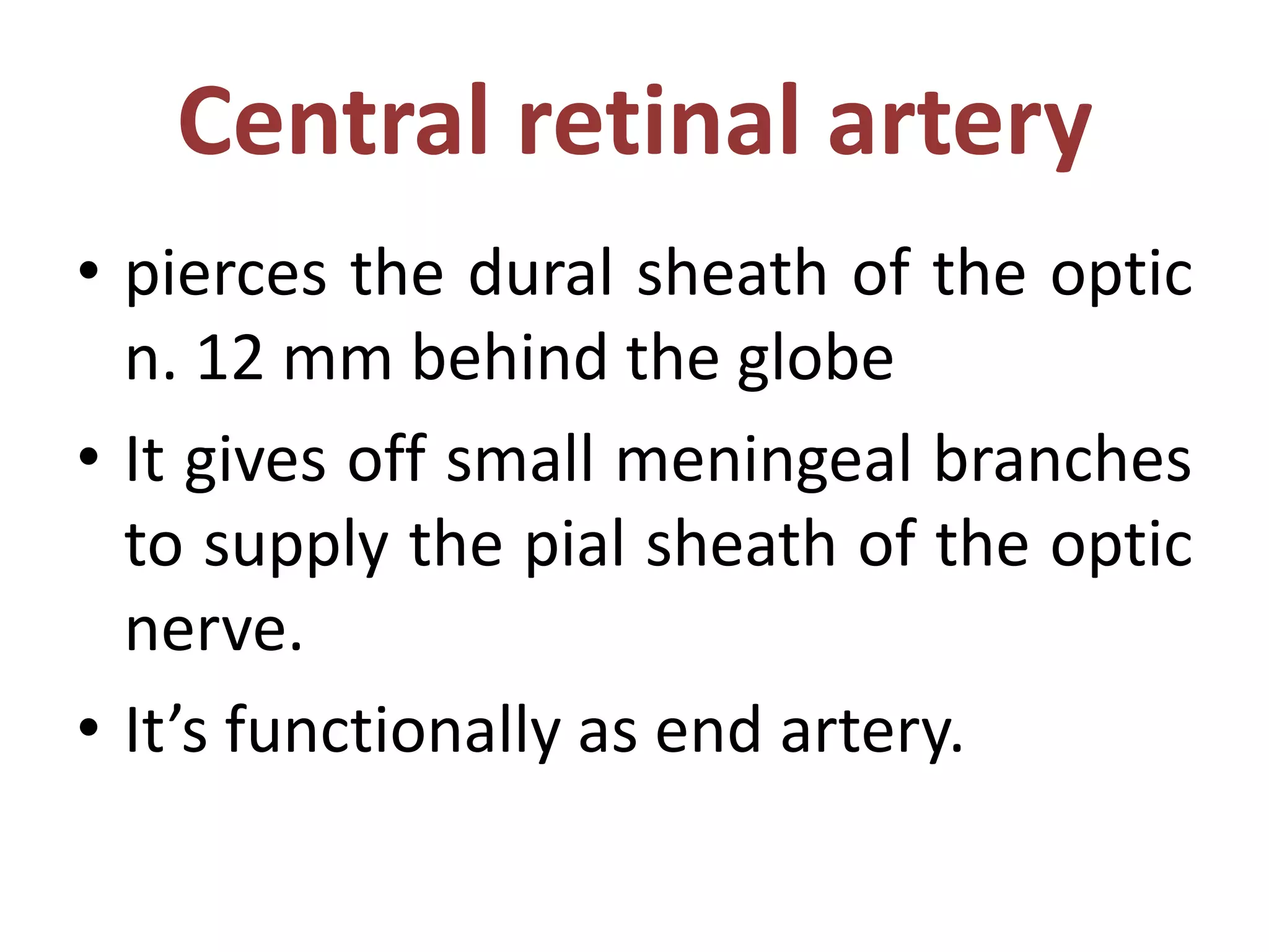 Blood supply of the eye | PPTX