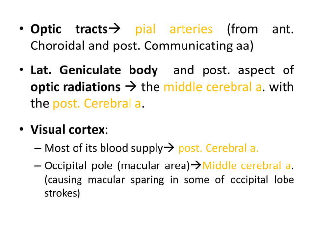 Blood supply of the eye | PPTX | Eye and Vision Conditions | Diseases ...