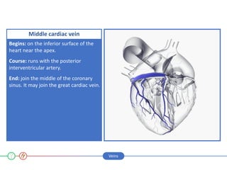 Blood supply of the heart | PDF | Heart and Cardiovascular Diseases ...