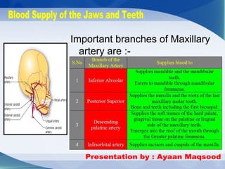 Blood supply of the jaws and teeth | PPT