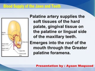 Blood supply of the jaws and teeth | PPT
