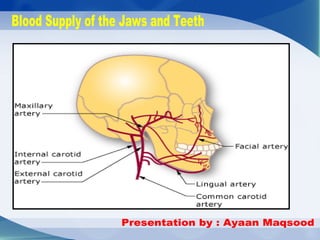 Blood supply of the jaws and teeth | PPT