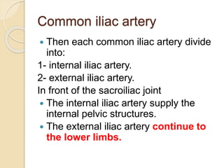 Blood supply of the lower limb.pptx