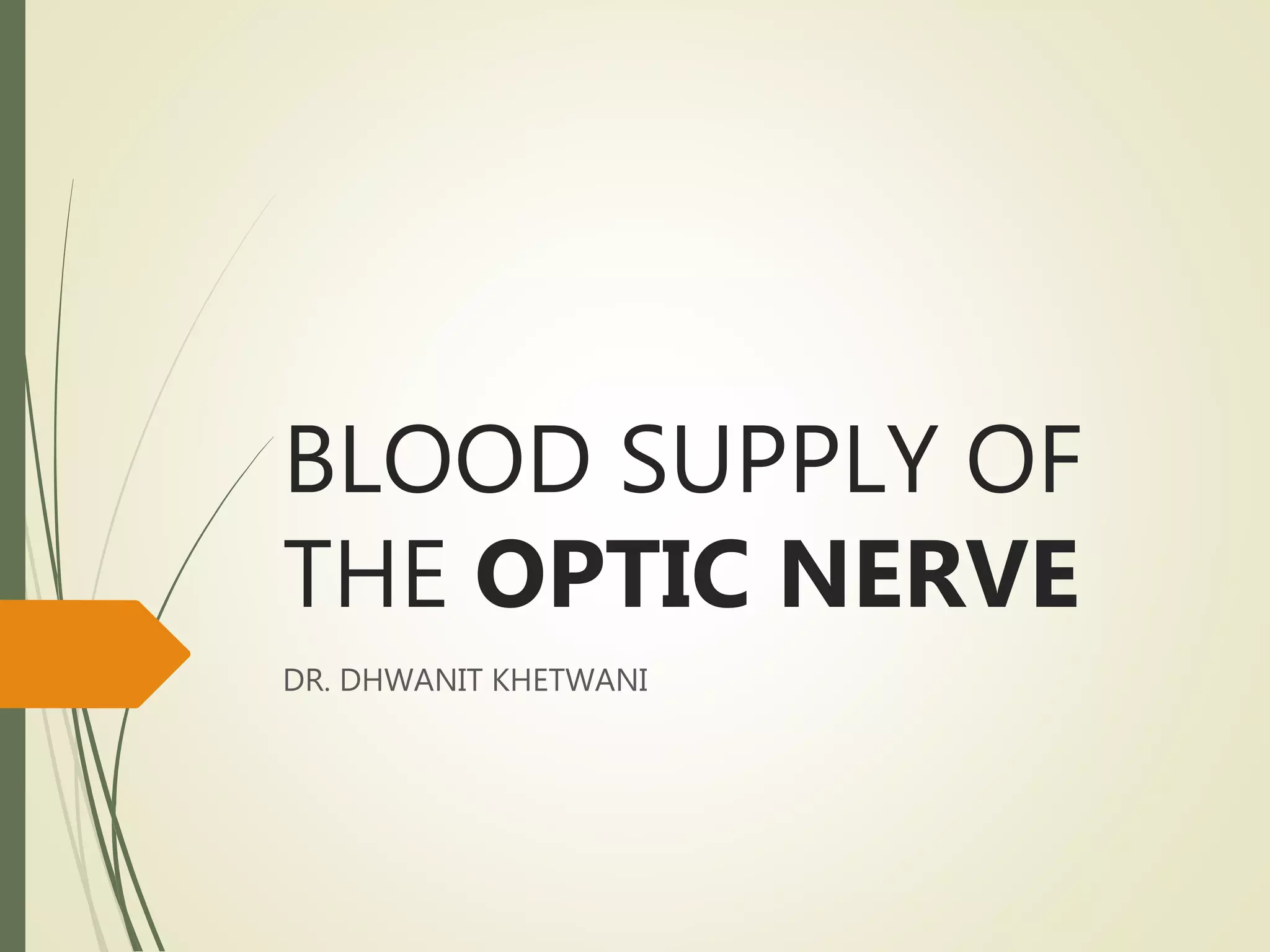 Blood supply of the optic nerve | PPTX