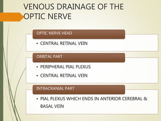 Blood supply of the optic nerve | PPTX