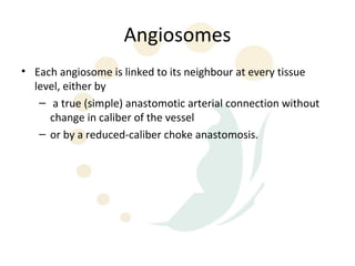 Blood supply of the skin | PPT