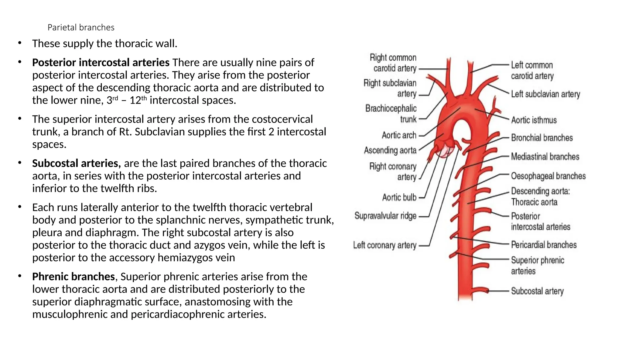 Blood supply of Thoracic Viscera ppt.pptx
