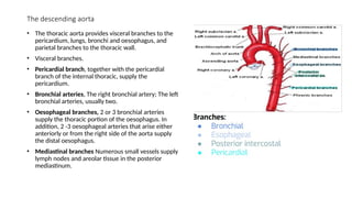 Blood supply of Thoracic Viscera ppt.pptx